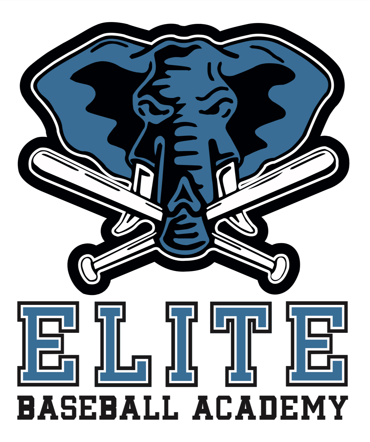 Elite Baseball Academy - Eba Training Center